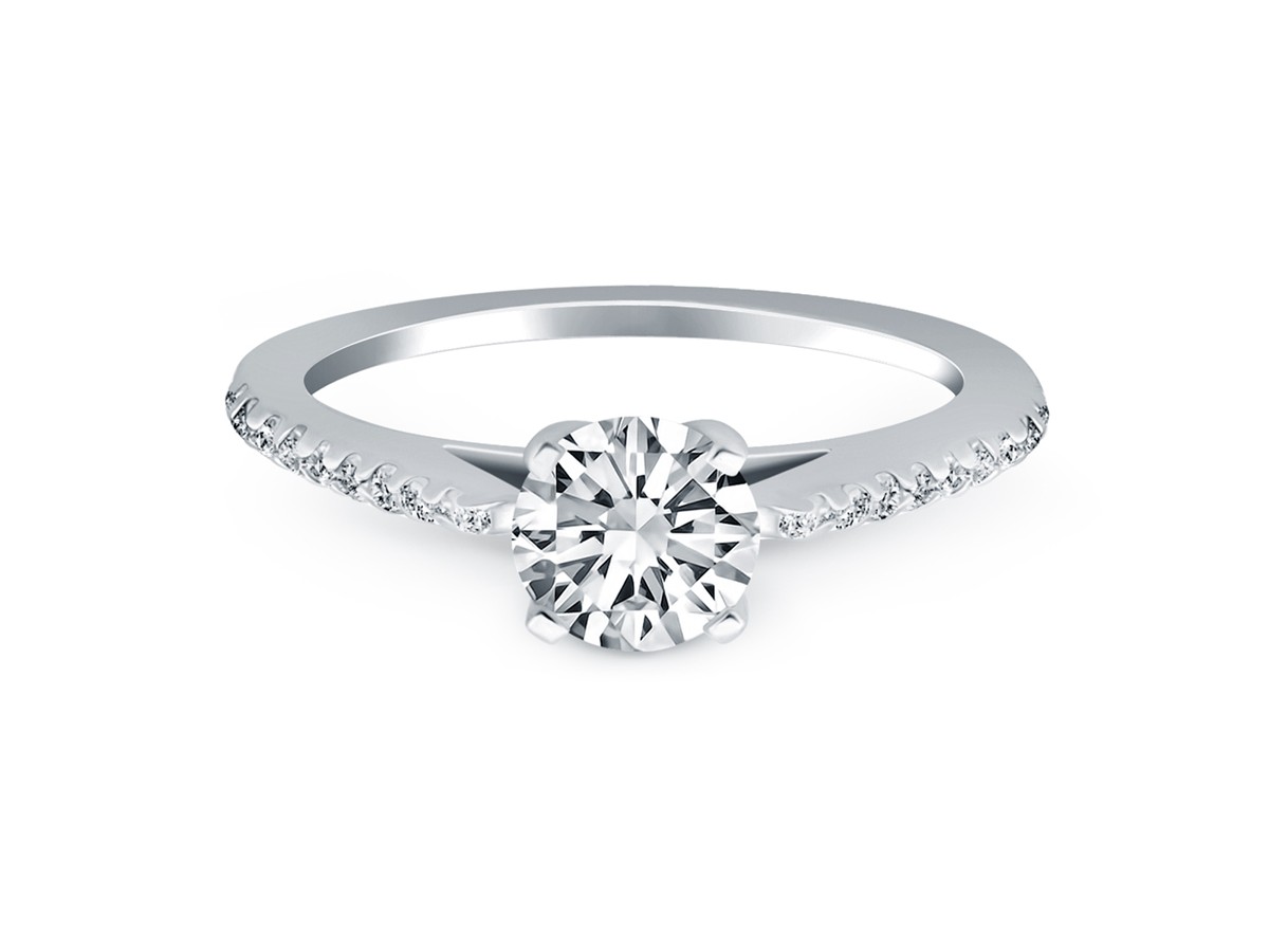 Micro Prong Diamond Cathedral Engagement Ring Mounting in 14k White ...